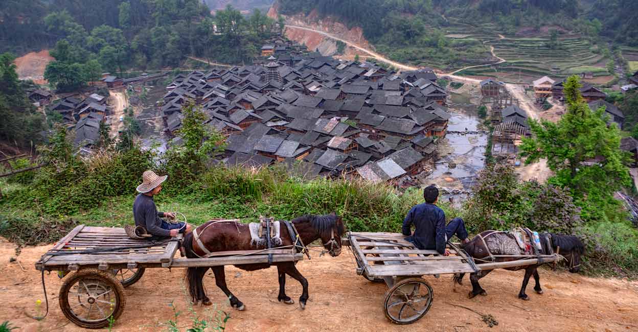 ഭാഗ്യമോ നിർഭാഗ്യമോ – ആർക്കറിയാം?; ഇന്നത്തെ ഭാഗ്യം നാളത്തെ നിർഭാഗ്യമാകാം ...