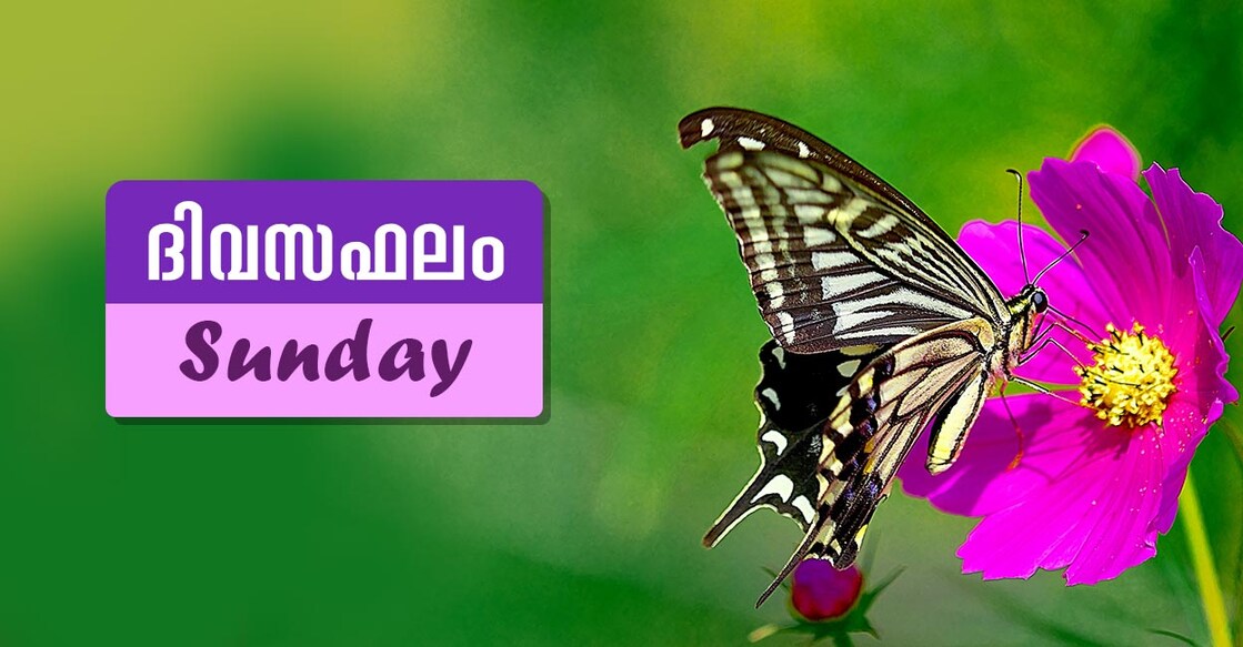 ഇന്നത്തെ നക്ഷത്രഫലം: Horoscope Today, November 12, 2023- November 12 ...