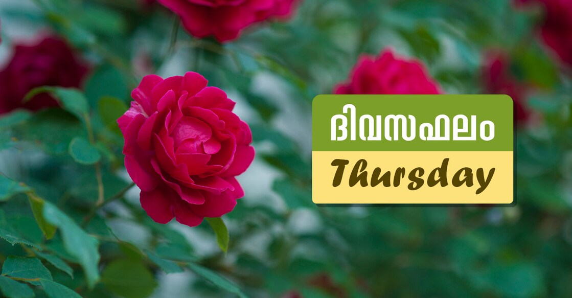 ഇന്നത്തെ നക്ഷത്രഫലം: Horoscope Today, November 09, 2023- November 09 ...