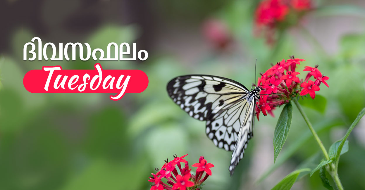 ഇന്നത്തെ നക്ഷത്രഫലം: Horoscope Today, December 12, 2023- December 12 ...