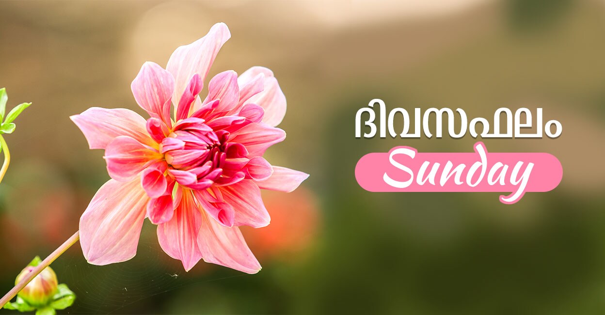 ഇന്നത്തെ നക്ഷത്രഫലം: Horoscope Today, December 03, 2023- December 03 ...