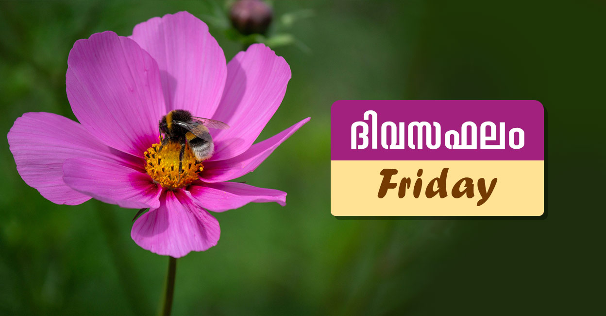 ഇന്നത്തെ നക്ഷത്രഫലം: Horoscope Today, December 22, 2023- December 22 ...