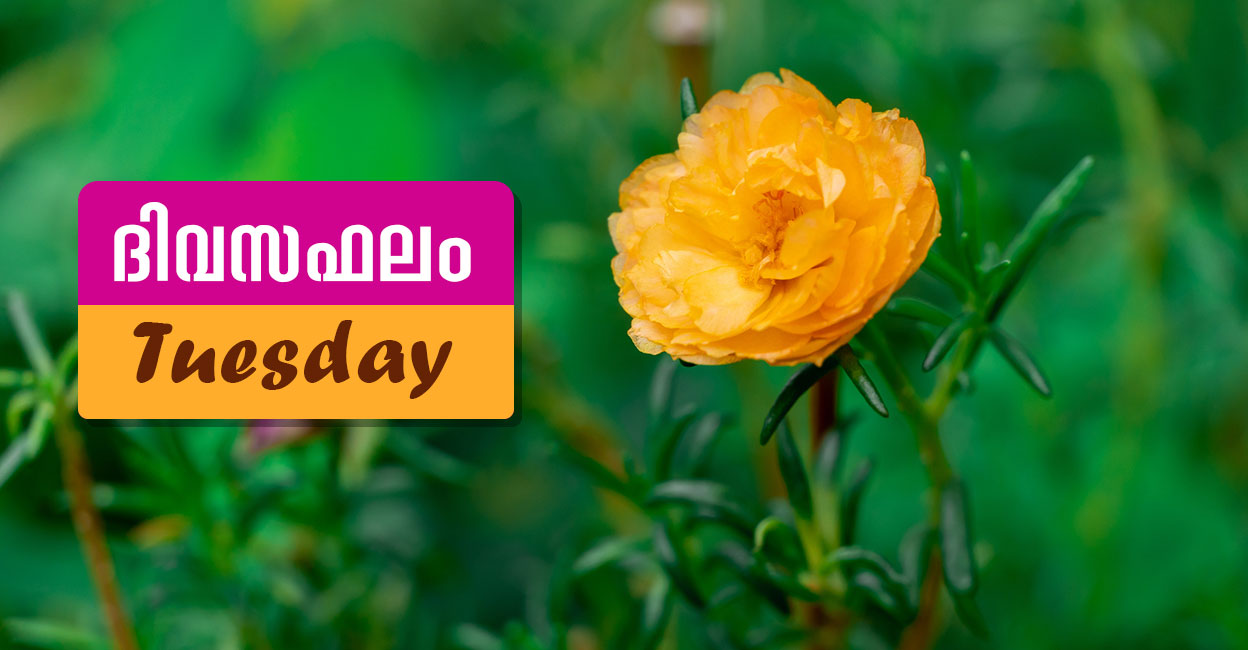 ഇന്നത്തെ നക്ഷത്രഫലം: Horoscope Today, January 01, 2024- January 01 ...