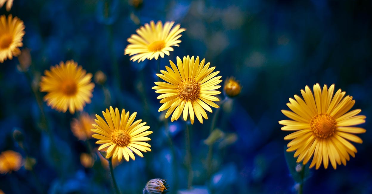 സമ്പൂർണ വാരഫലം (ജൂലൈ 7 - 13) | Weekly Star Prediction | ജ്യോതിഷം ...