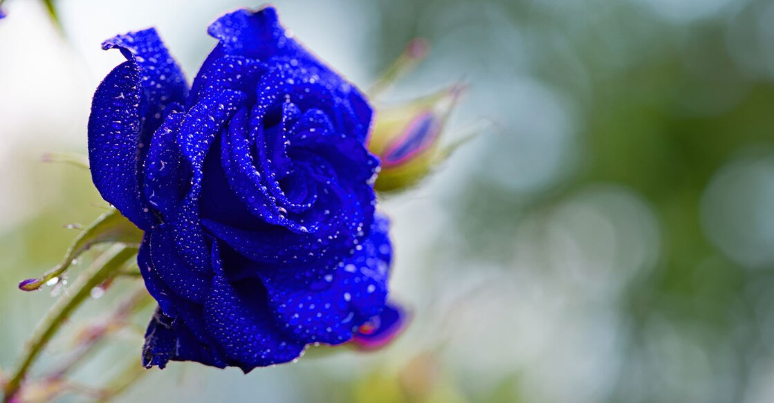 സമ്പൂർണ വാരഫലം (മാർച്ച് 09 - 15 ) - Weekly Prediction| ജ്യോതിഷം ...