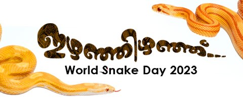 World Snake Day 2023 : Role of Snakes Facts, Conservation Ecosystem ...