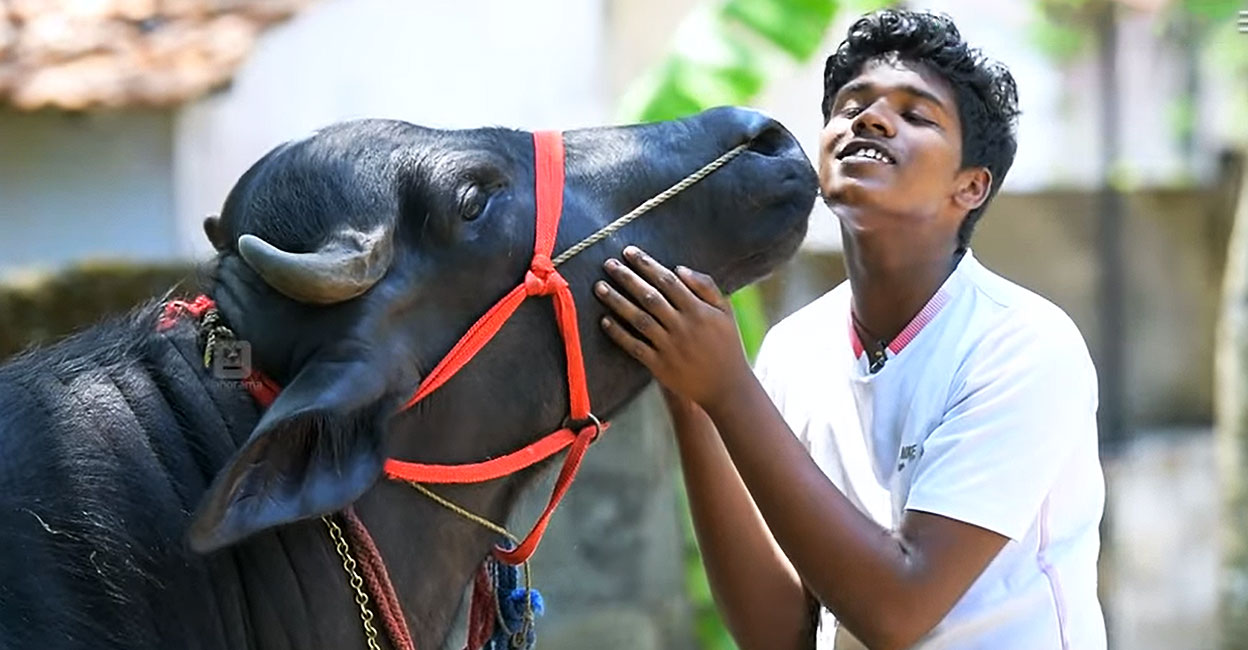 ഉണ്ണിക്കുട്ടനും ശങ്കരനും ഇതാണ് കളങ്കമില്ലാത്ത സ്നേഹം - Unique Bond ...
