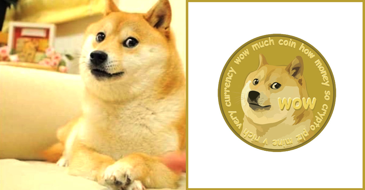 ക്രിപ്റ്റോ നാണയം ഡോഗ്കോയിനിലെ ‘ഡോഗ്’ ശരിക്കും ആരാണ്? | The Real Dog ...