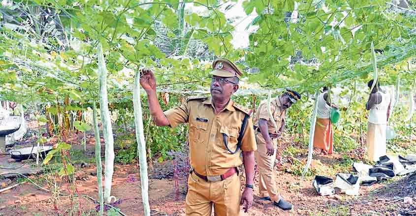 ഇരുണ്ട തടവറയല്ല; ഇതൊരു തുറന്ന കൃഷിമുറ്റം