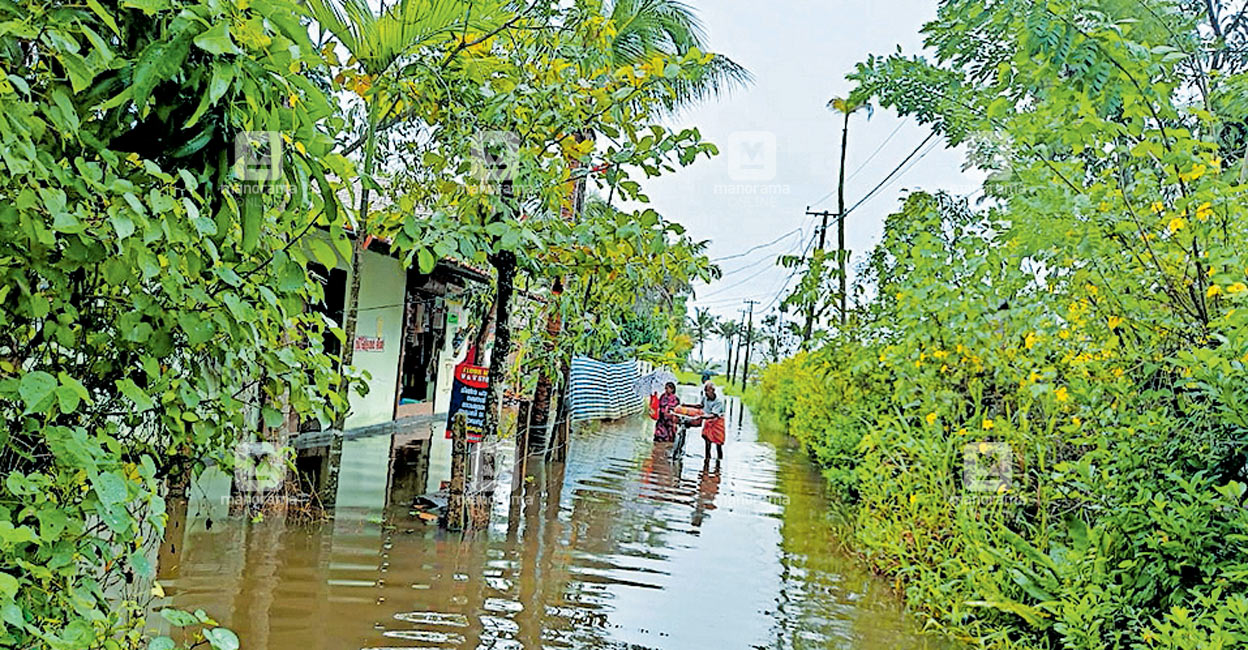 മഴ മാറിയിട്ടും ജലനിരപ്പ് ഉയർന്ന് കുട്ടനാട്; നീരേറ്റുപുറത്ത് ജലനിരപ്പ് ...