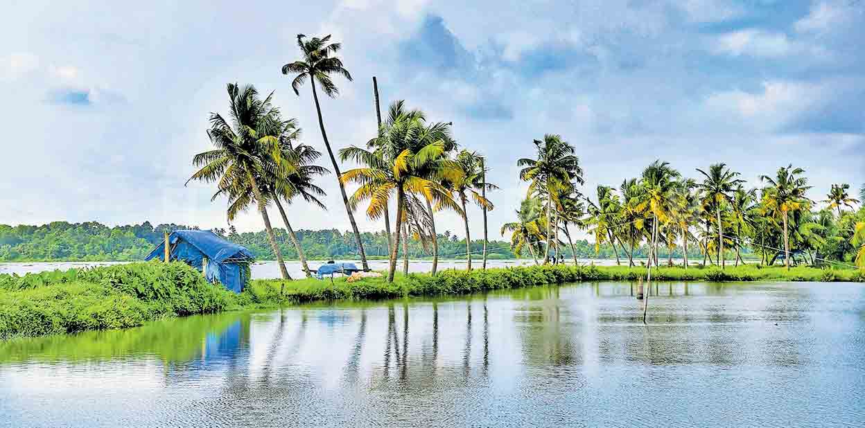 ആലപ്പുഴ ജില്ലയിൽ ഒരു കുട്ടവഞ്ചി യാത്ര നടത്തിയാലോ? ഒരു യാത്ര പോകാം, ക ...