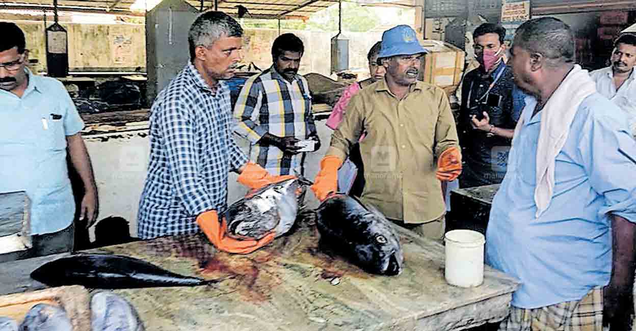 ആലപ്പുഴയിൽ ഫോർമലിൻ കലർന്ന 263 കിലോ മത്സ്യം പിടികൂടി