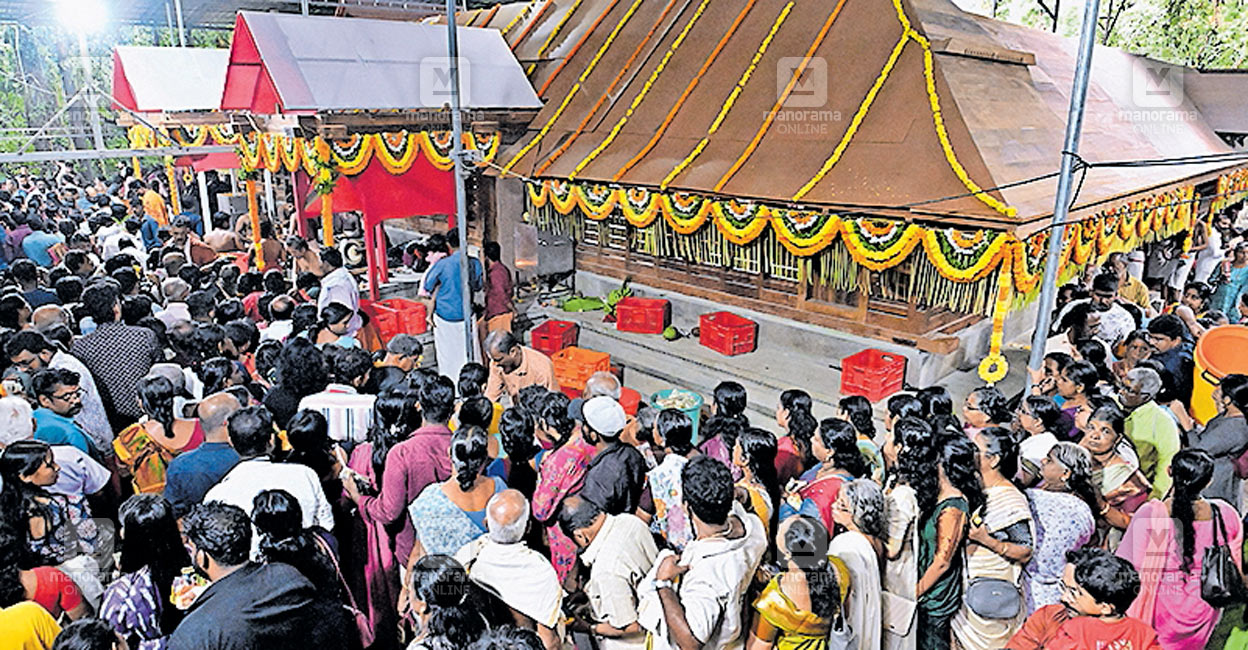 ദോഷനിവാരണത്തിനായി പൂയം തൊഴുത് ആയിരങ്ങൾ; ഉത്സവ വേദിയിൽ ഇന്ന് ...