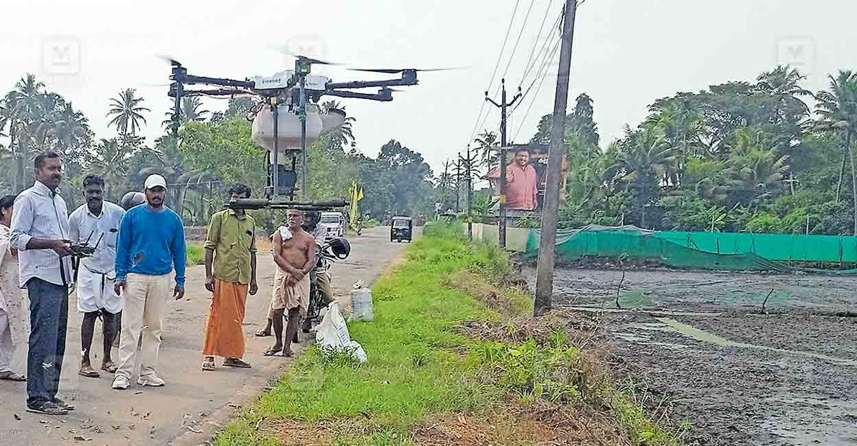 ഡ്രോൺ വിതയ്ക്കും; കുട്ടനാട് കൊയ്യും | Drone farming | paddy cultivation ...