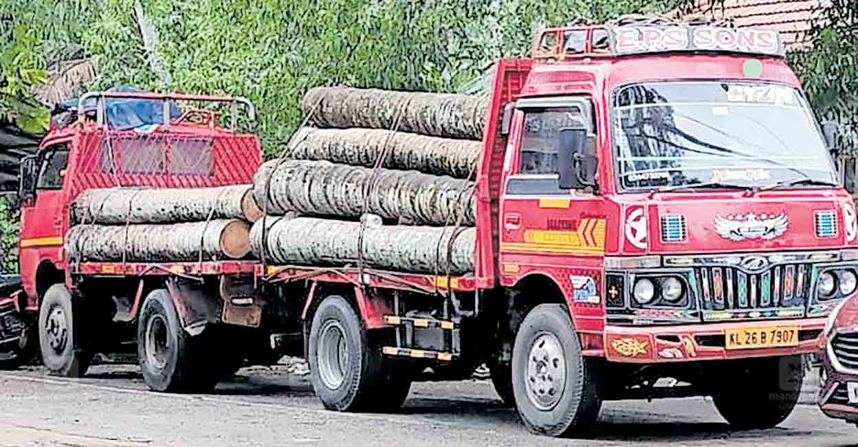 ചെത്തി കടപ്പുറത്ത് തെങ്ങുകൾ മുറിച്ചുമാറ്റിയ സംഭവം: മൂന്നുപേർ അറസ്റ്റിൽ