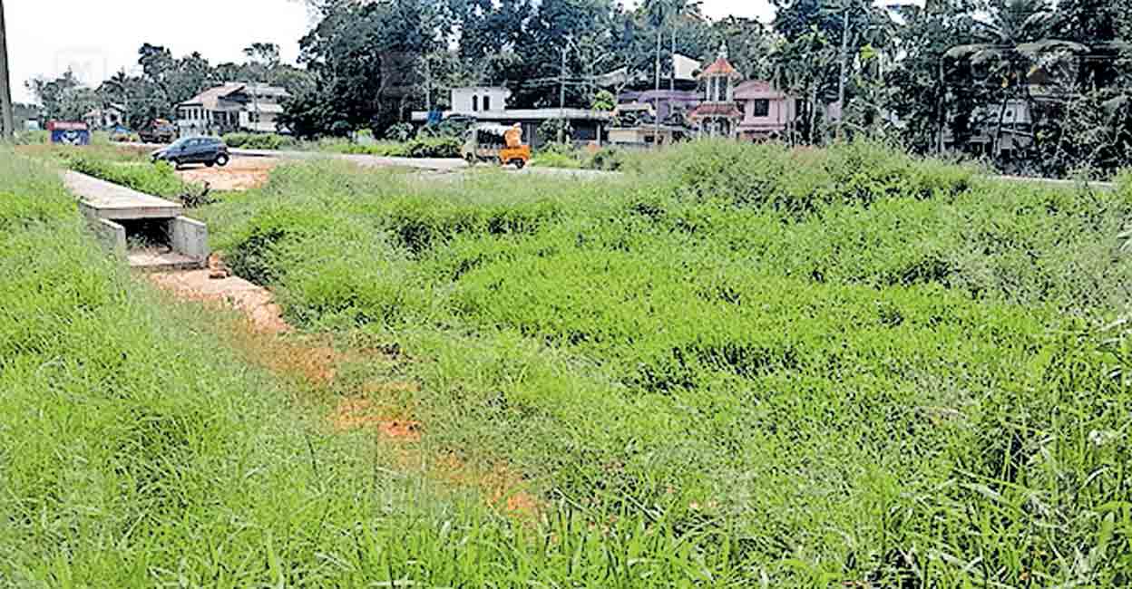 ദേശീയപാത അതോറിറ്റി അംഗീകാരം; കഞ്ഞിക്കുഴിയിൽ പാലം വരുന്നു | Kanjikuzhi ...