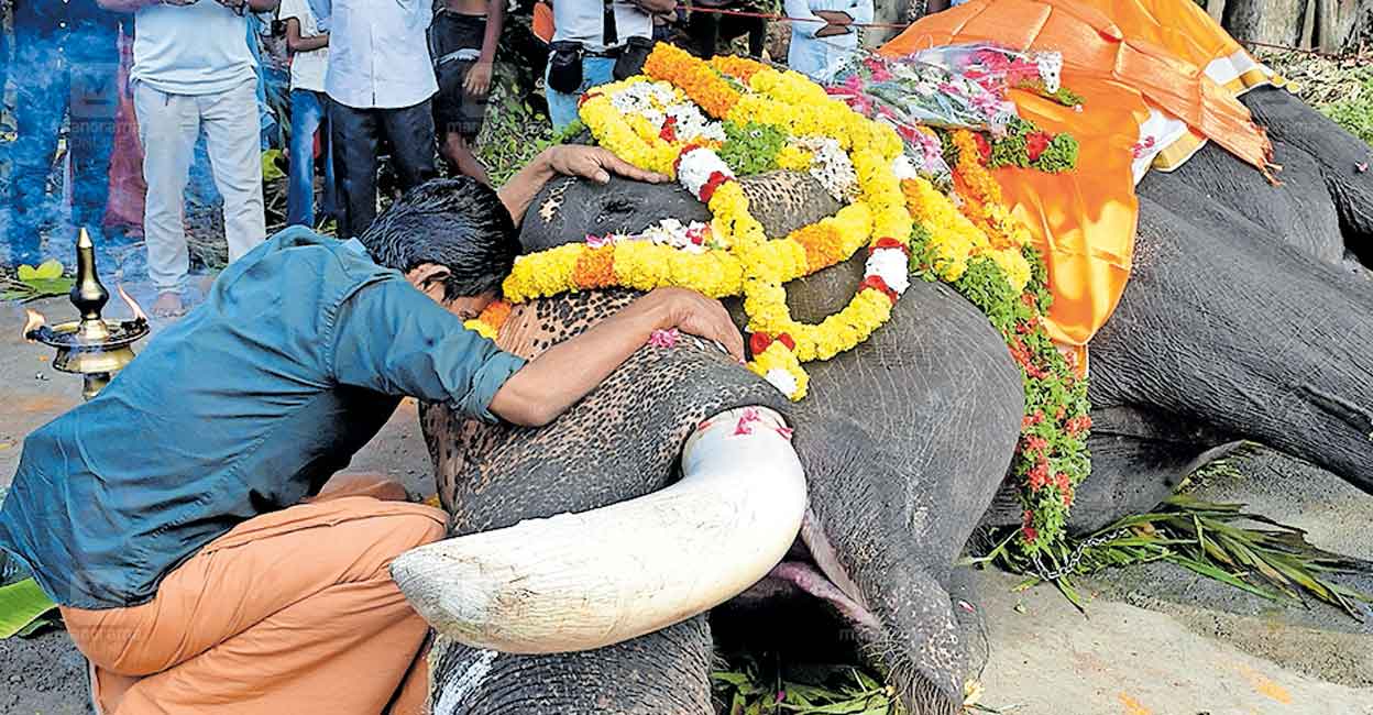 മുല്ലയ്ക്കൽ ബാലകൃഷ്ണൻ ഇനി ഓർമ; ചരിഞ്ഞത് തിരുവിതാംകൂർ ദേവസ്വം ബോർഡിന്റെ ...