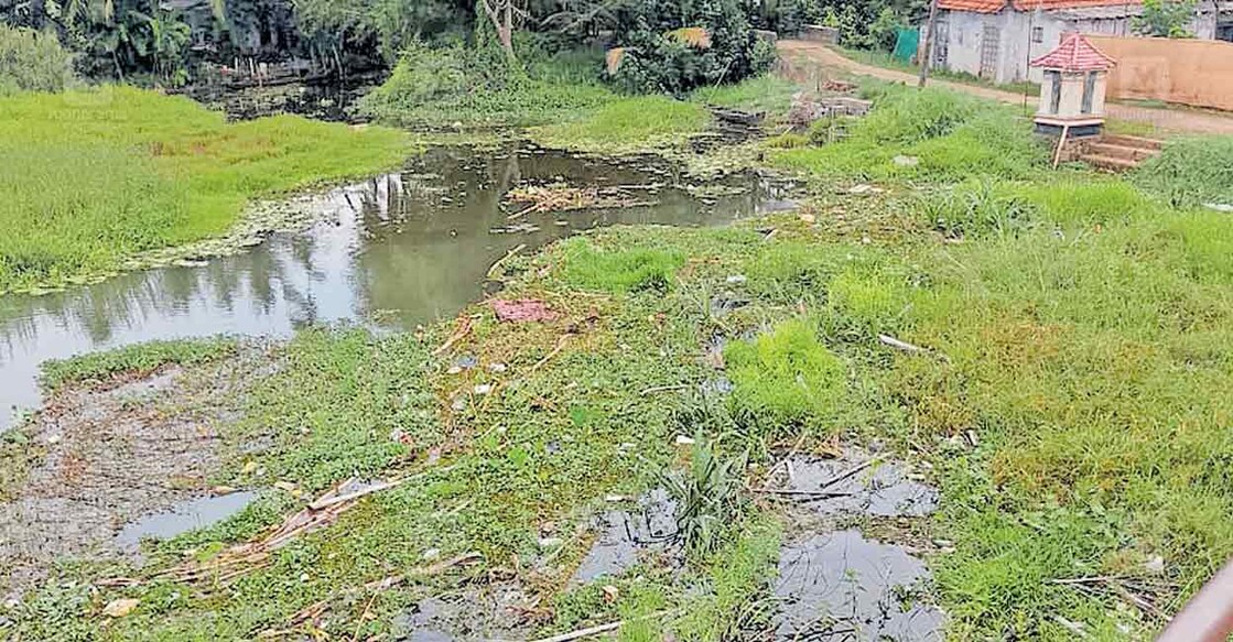 ചെറുതനയിലെ ചെറിയ പാലങ്ങളുടെ അടിയിൽ മഴയെത്തും മുൻപേ മാലിന്യം അടിഞ്ഞു ...