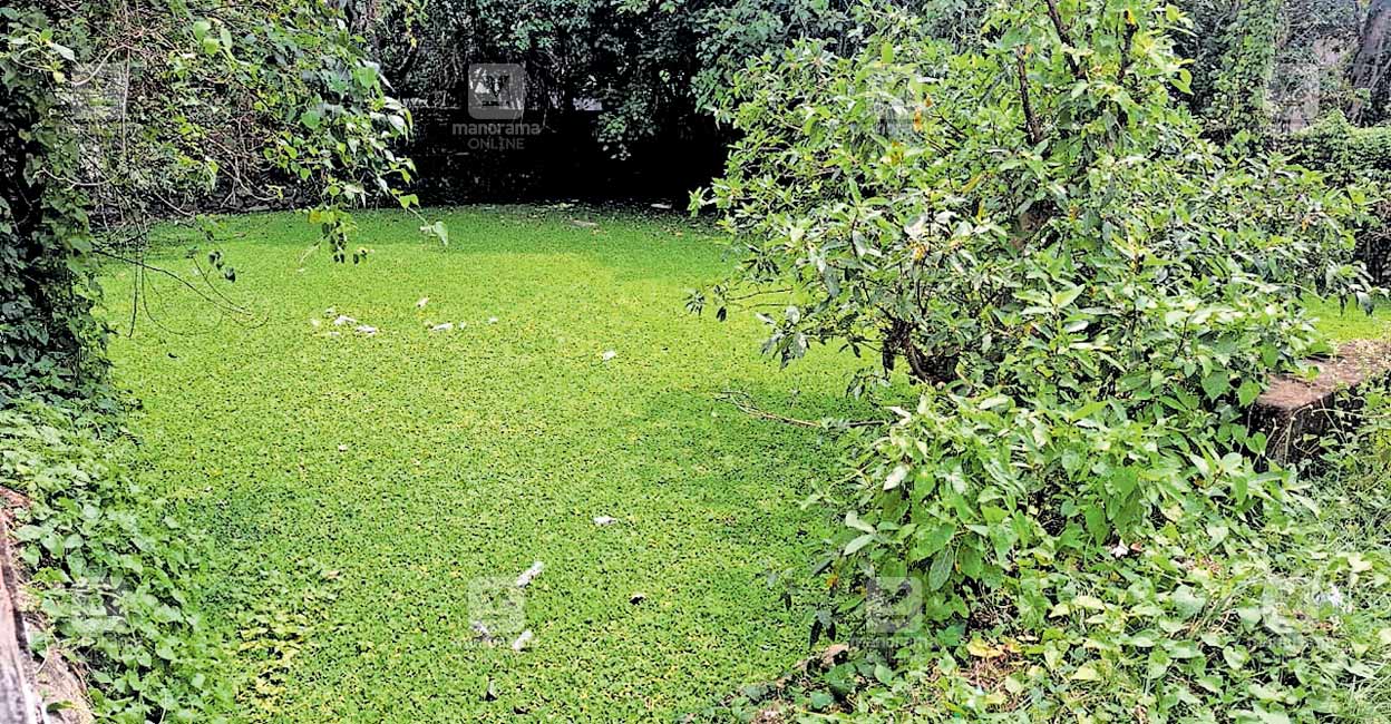 എങ്ങുമെത്താതെ മഴക്കാലപൂർവ ശുചീകരണം: കൊതുകിന് വീടൊരുക്കല്ലേ ...