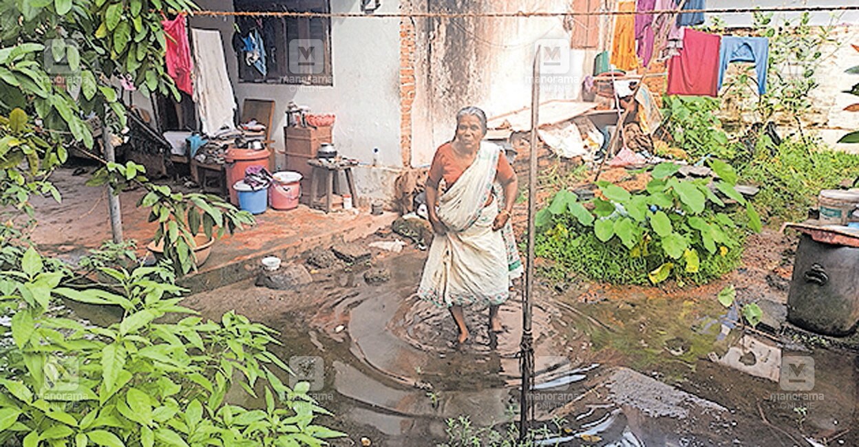 ദുരിതമായി വെള്ളക്കെട്ട്; കളപ്പുര പുലത്തറ ഭാഗത്തെ മുപ്പതോളം വീടുക ...
