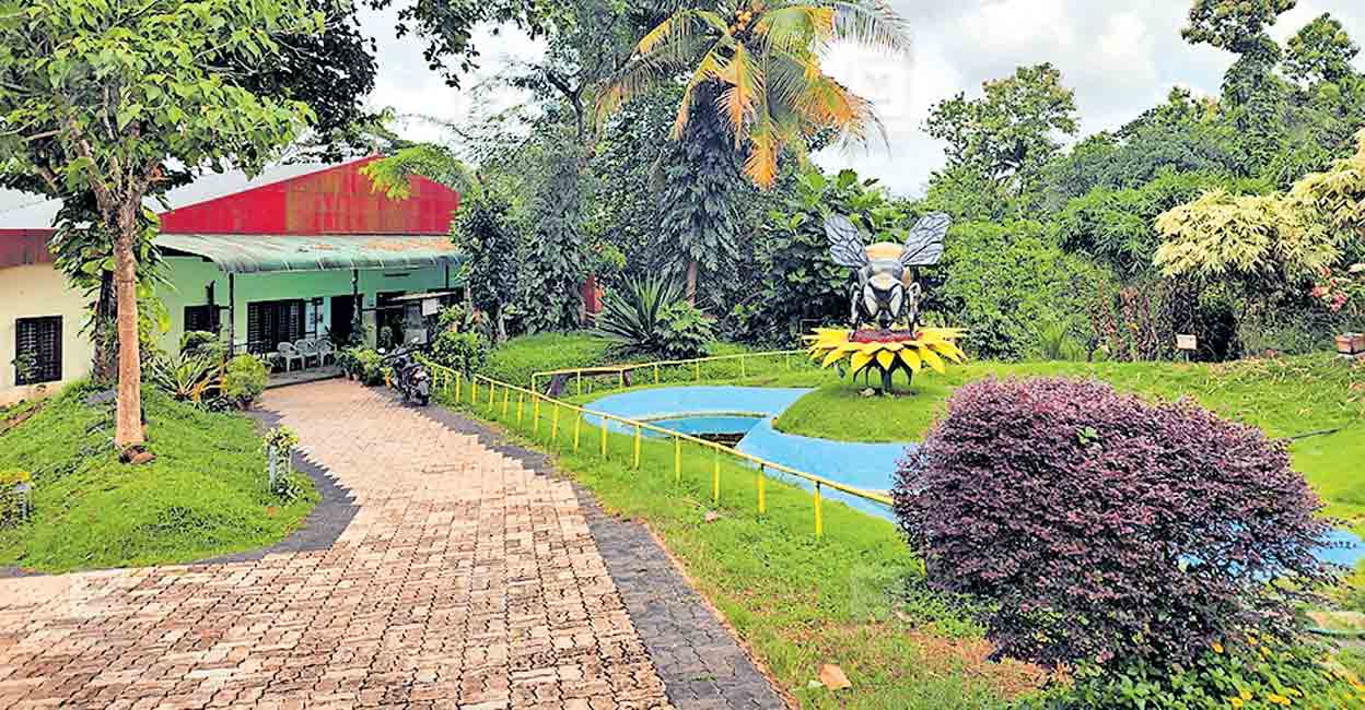 തേനൂറും വിജയഗാഥ; കല്ലിമേൽ തേനീച്ചവളർത്തൽ കേന്ദ്രത്തിൽ തേനീച്ച മ്യൂസിയം ...