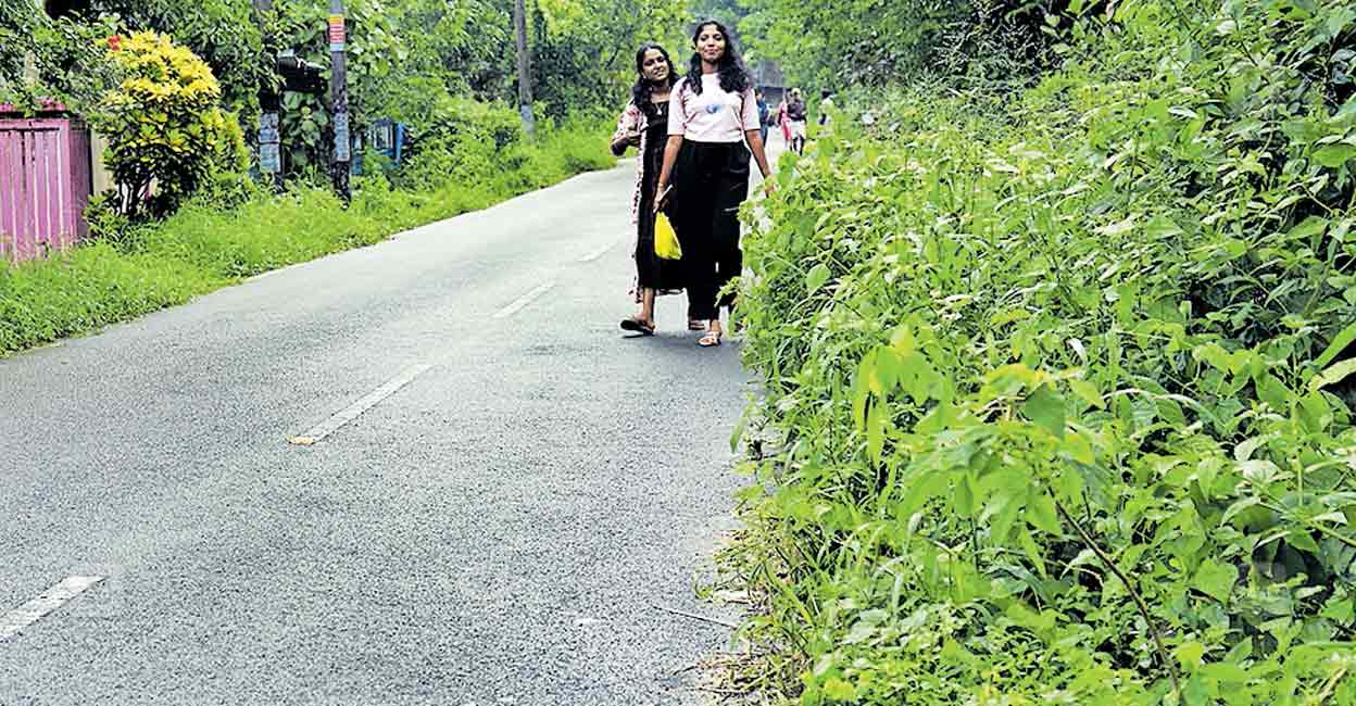 യാത്രയ്ക്കു തടസ്സമായി റോഡരികിൽ പുല്ല്; വെട്ടിനീക്കാൻ നടപടിയില്ല | Kerala roads | roadside grass ...