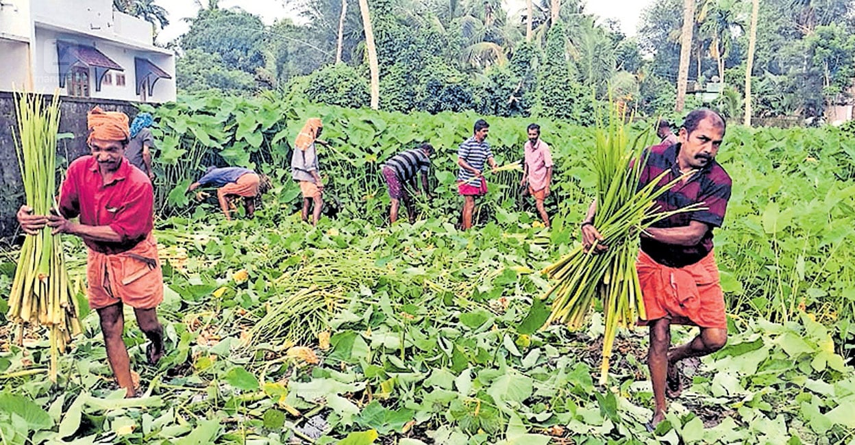 കർക്കടക വാവ് ബലി നാളെ; തർപ്പണത്തിന് ഒരുങ്ങി ക്ഷേത്രങ്ങൾ | Cherthala ...