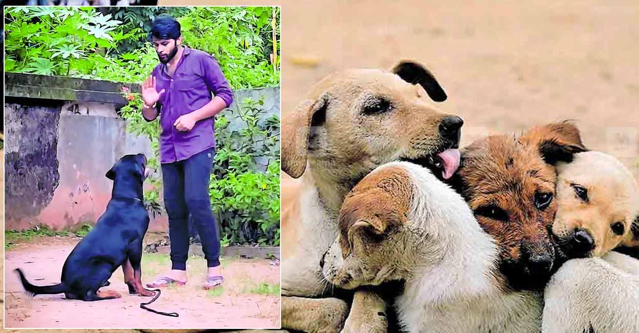 ‘സ്വഭാവദൂഷ്യ’മുള്ള ഏതു നായ്ക്കളും ഹരികൃഷ്ണന്റെ മുന്നിൽ ഡീസന്റ് ആകും ...