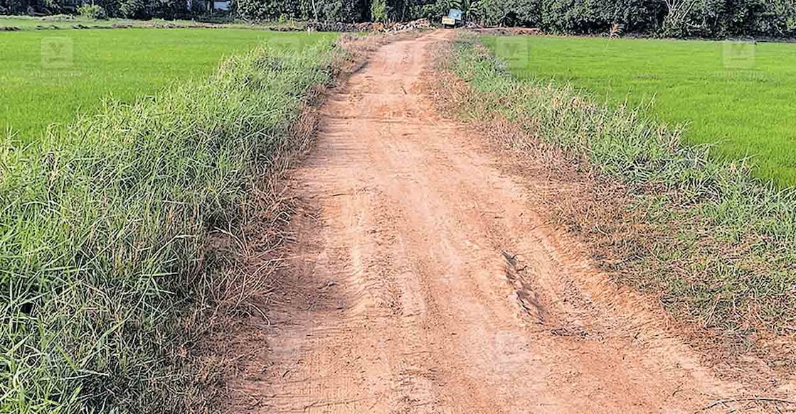 പെരുങ്കണ്ണാരി–തൊഴുപ്പാട് റോഡ് നവീകരിക്കണമെന്ന് കർഷകർ | Mannar road ...