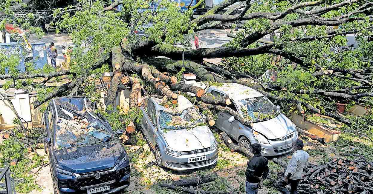തടാകങ്ങൾ കരകവിഞ്ഞു: പാർപ്പിട മേഖലകൾ മുങ്ങി; താമസക്കാരെ ഒഴിപ്പിച്ചു ...