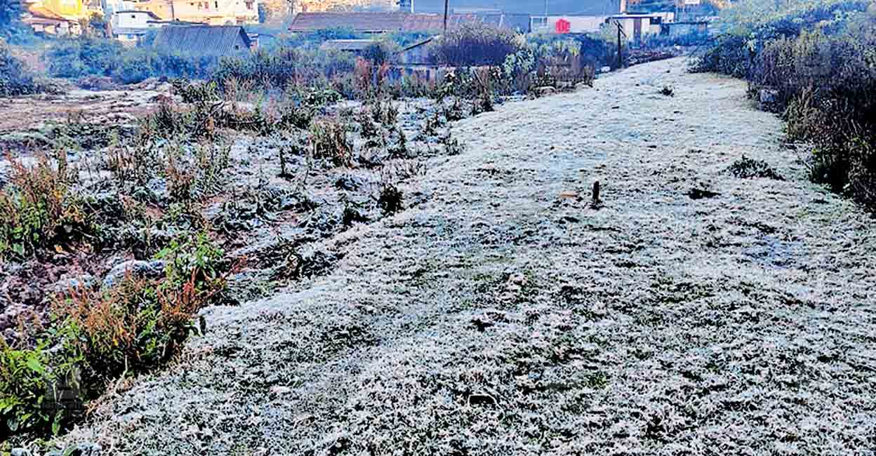 ഊട്ടിയിൽ വീണ്ടും മഞ്ഞുവീഴ്ച; പകൽ നല്ല ചൂട്, രാത്രി തണുപ്പ്, പുലർച്ചെ ...