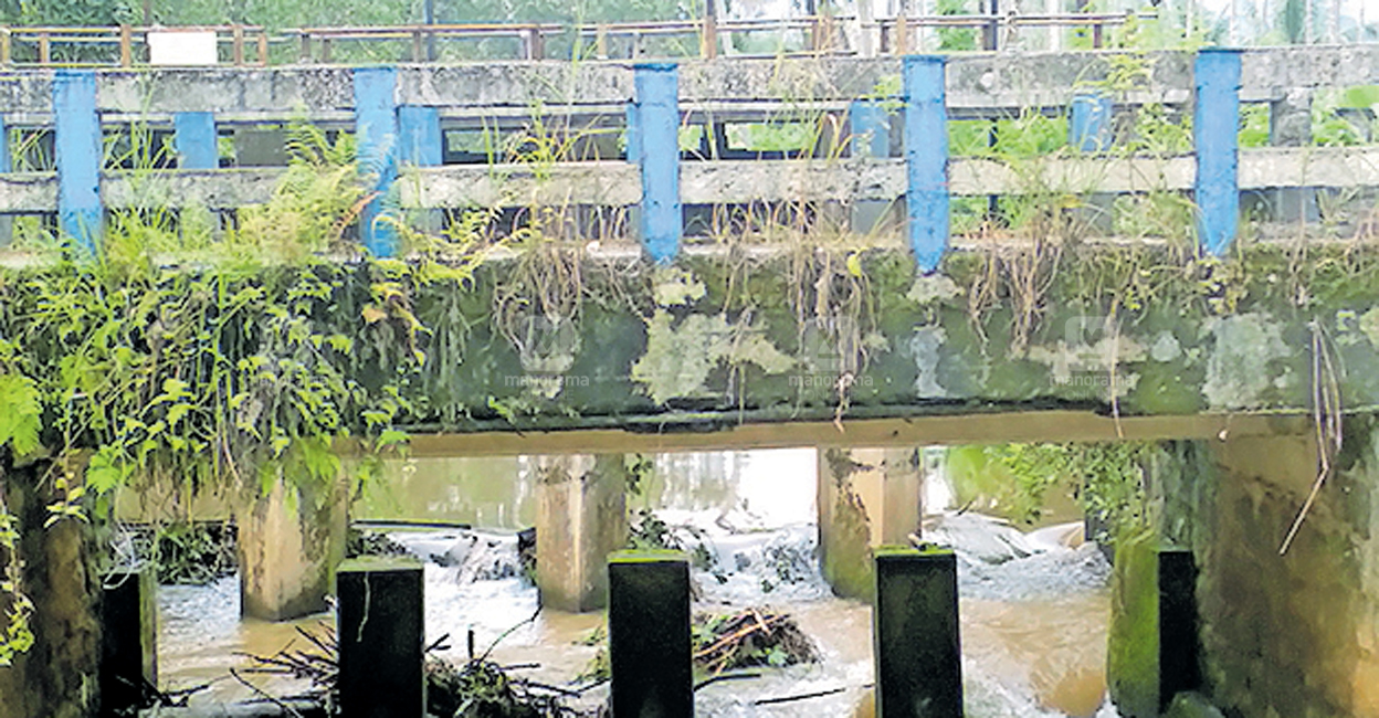 കോതായി പാലം അപകടാവസ്ഥയിൽ