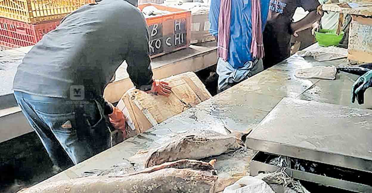 പള്ളുരുത്തി നഗരസഭയുടെ മാർക്കറ്റിൽ കിട്ടും 2 മാസം പഴക്കുള്ള മീ ...