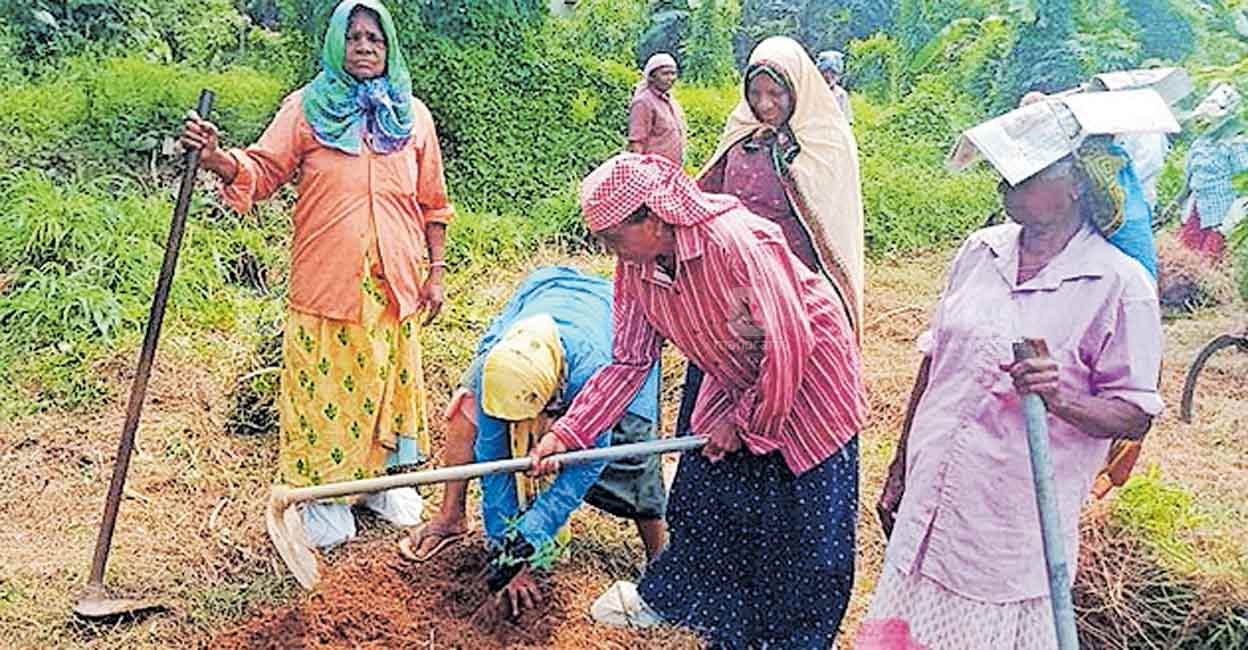 5,500 വീടുകളിൽ ആര്യവേപ്പ് നട്ടുവളർത്തും