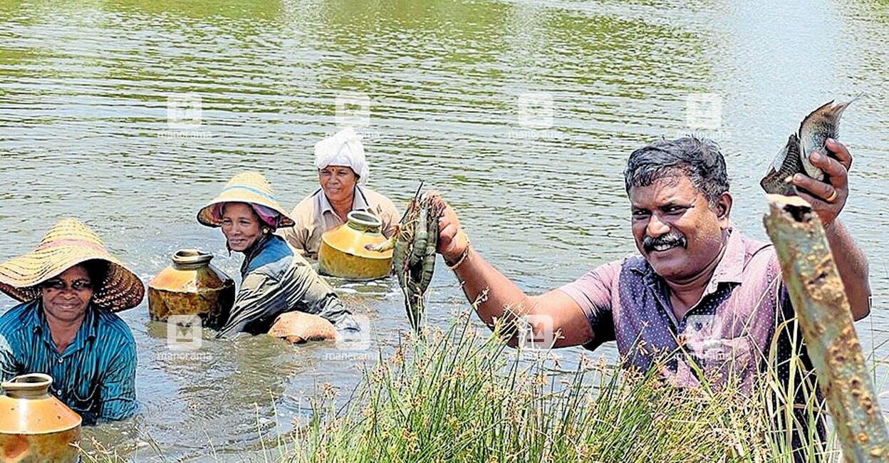 മത്സ്യക്കെട്ട്: കാലാവധി നീട്ടി നൽകി സർക്കാർ