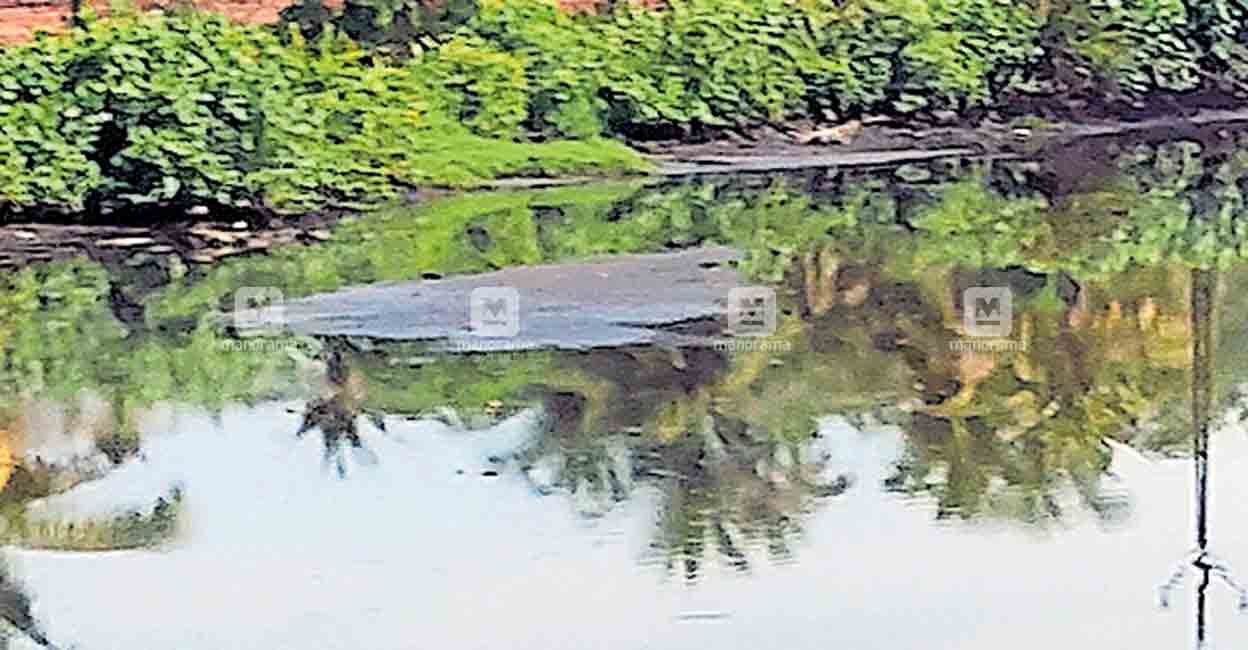 എക്കലും ചെളിയും അടിഞ്ഞ് ആനച്ചാൽ പുഴ