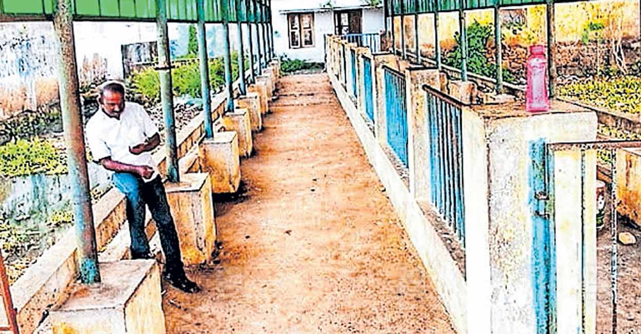 മട്ടാഞ്ചേരി ജെട്ടി: ചെളി നീക്കാനുള്ള സമയപരിധി ഇന്ന് തീരും ...