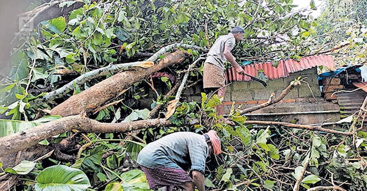 മഴ, കാറ്റ്, മിന്നൽ: കനത്ത നാശം; നാശനഷ്ടം ഉണ്ടായത് പിറവം നഗരസഭയിലും ...