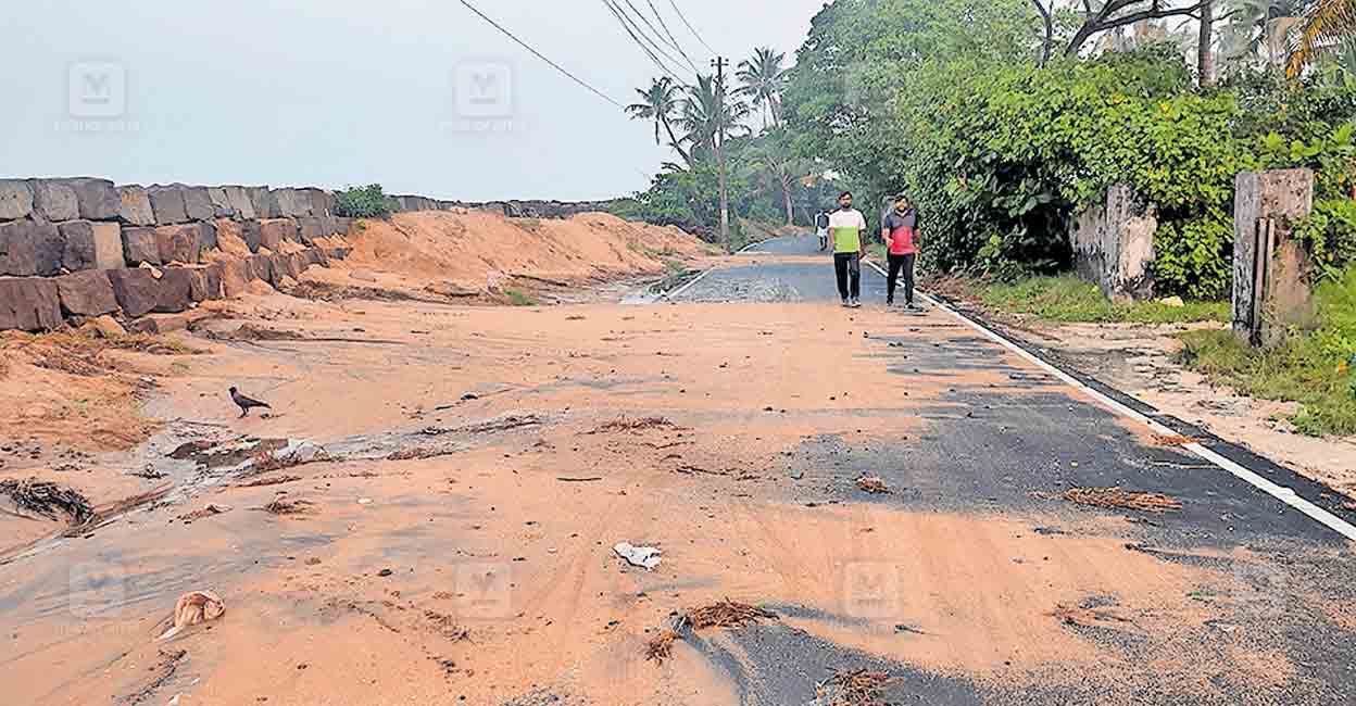 തീരദേശ റോഡ് മണൽ മൂടി; എടവനക്കാടും നായരമ്പലത്തും പുതിയ ടാറിങ്ങിന് മുകളി ...