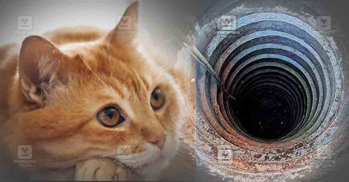 കിണറ്റിൽ വീണ പൂച്ചയെ രക്ഷിക്കുന്നതിനിടെ 5 സഹോദരങ്ങൾ ശ്വാസംമുട്ടി മരിച്ചു