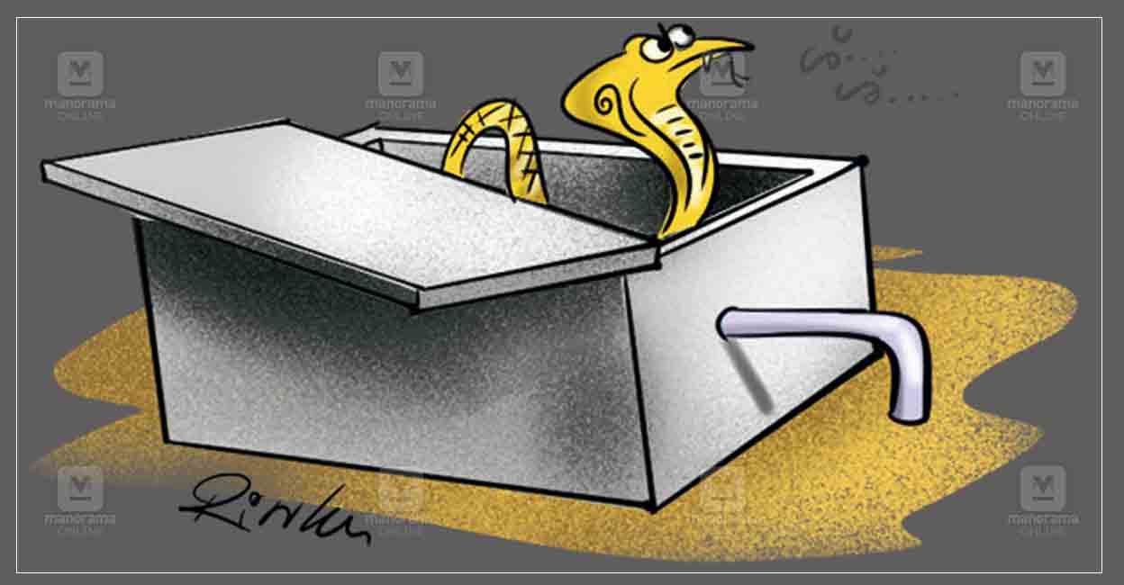 വാട്ടർ മീറ്റർ ബോക്സിൽ പത്തി വിടർത്തി മൂർഖൻ; ഞെട്ടി റീഡിങ് ...