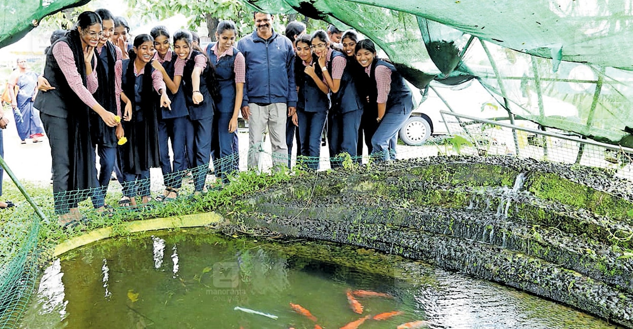 വടംവലി, ചെളിയിൽ കളി, ചൂണ്ടയിടൽ... തിരക്കേറി ഒക്കൽ ഫാം ഫെസ്റ്റ് | Okkal ...