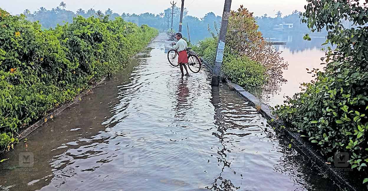 അതിരൂക്ഷ വേലിയേറ്റം, വെള്ളപ്പൊക്കം; ജനജീവിതം ദുസ്സഹം, റോഡുകൾ പോലും ...