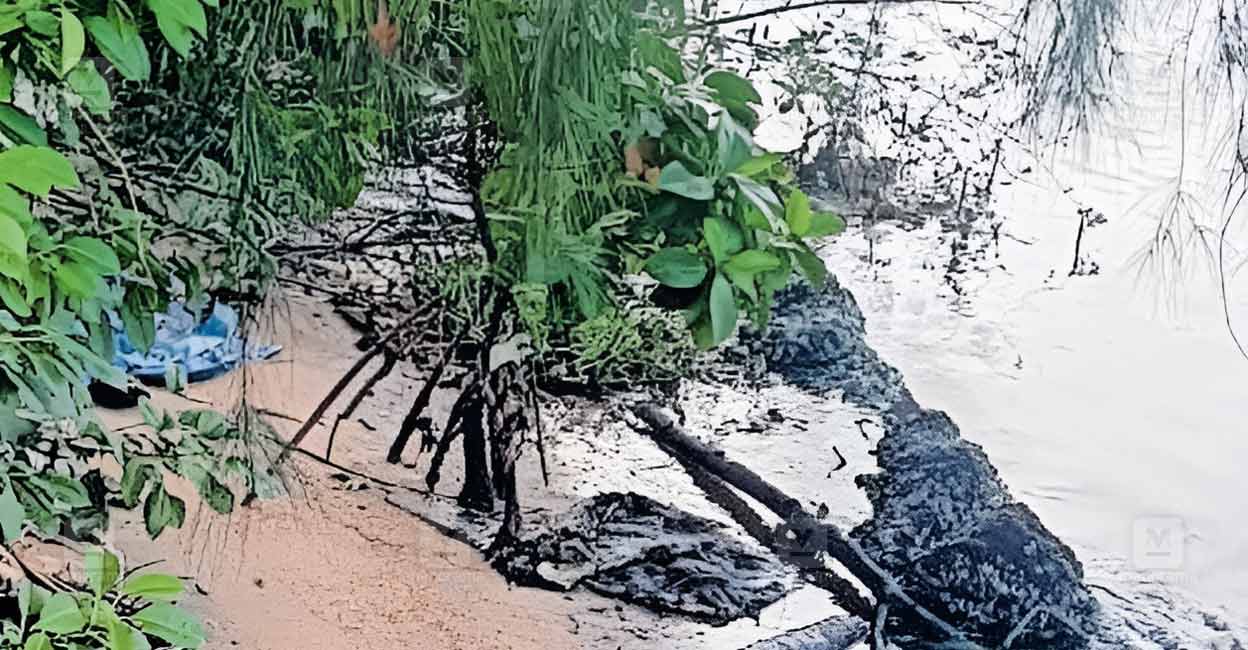 ദേശീയപാത 66: സത്താർ ദ്വീപിനെ അപകടത്തിലാക്കി 2 മാസമായി രാത്രിയും പകലും ...