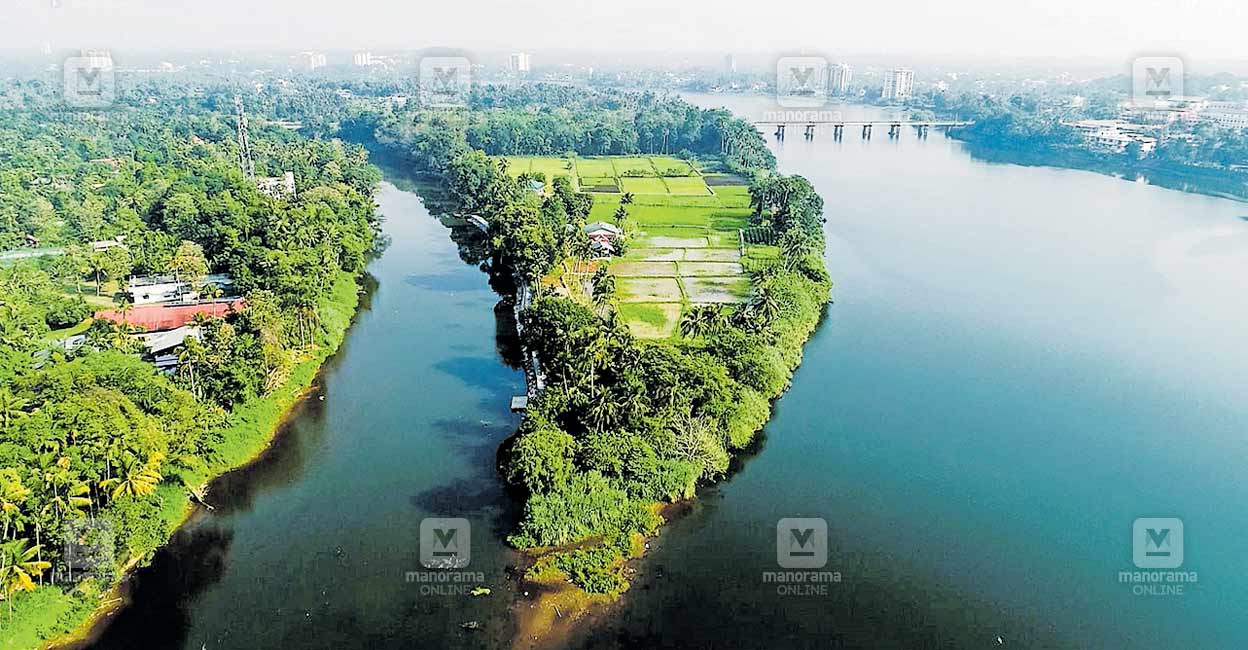തുരുത്ത് ഗവ. സീഡ് ഫാമിൽ 6 കോടി രൂപയുടെ അടിസ്ഥാന വികസനം | Aluva ...
