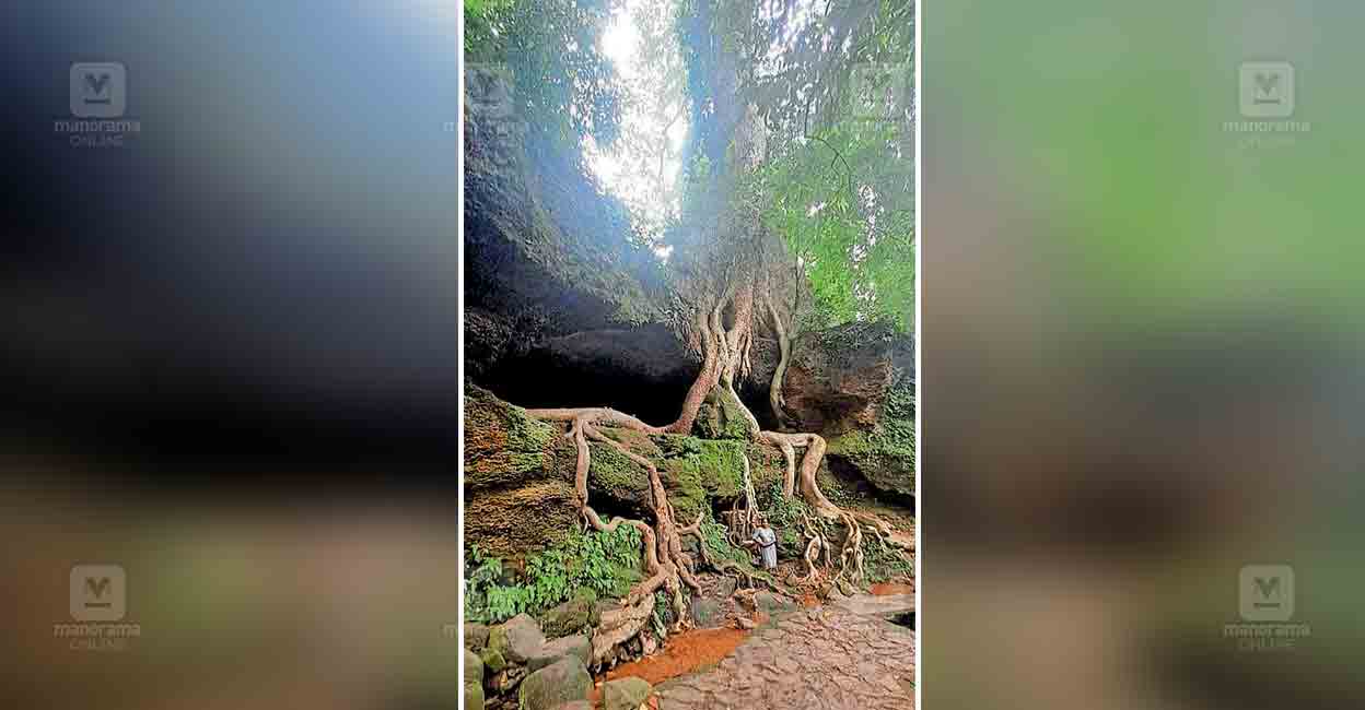 അരീക്കൽ‌ വെള്ളച്ചാട്ടം, കൊച്ചരീക്കൽ ടൂറിസം വികസനത്തിനായി സഹായം തേടി ...