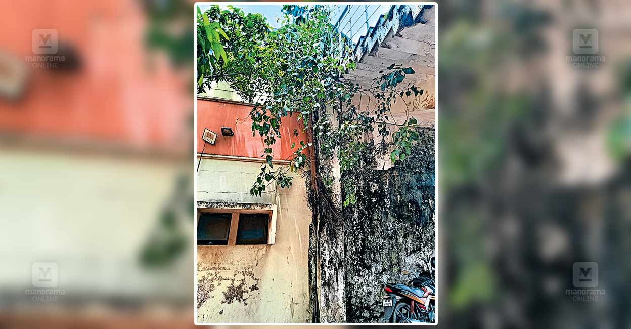 ആൽ മുളയ്ക്കുവോളം അനാസ്ഥ | Kochi Boat Jetty | Ernakulam Boat Jetty ...