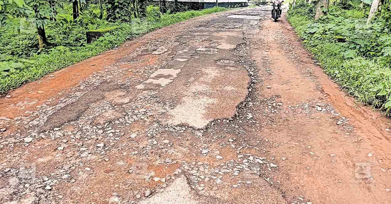 കോഴിപ്പിള്ളി പാലം–മാതിരപ്പിള്ളി പള്ളിപ്പടി റോഡ്:ഫണ്ട് അനുവദിച്ചിട്ടും ...