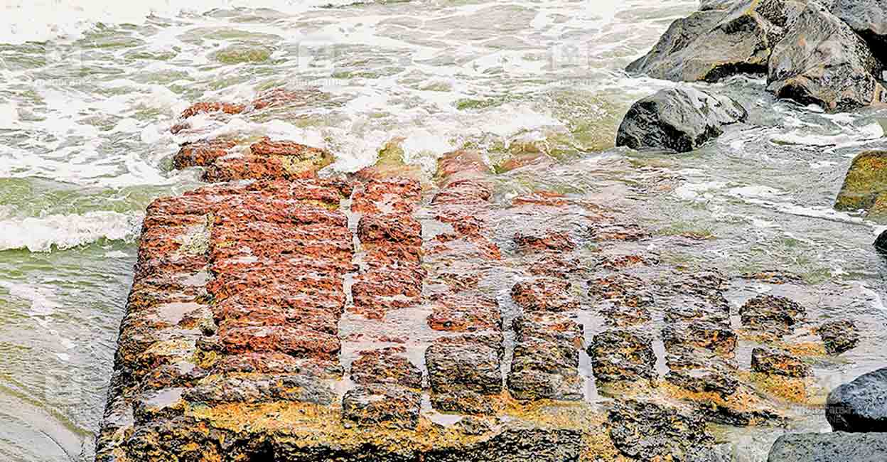 1503ൽ പോർച്ചുഗീസുകാർ നിർമിച്ച കോട്ടയുടെ മതിൽ ഫോർട്ട്കൊച്ചി കടപ്പുറത്ത് ...