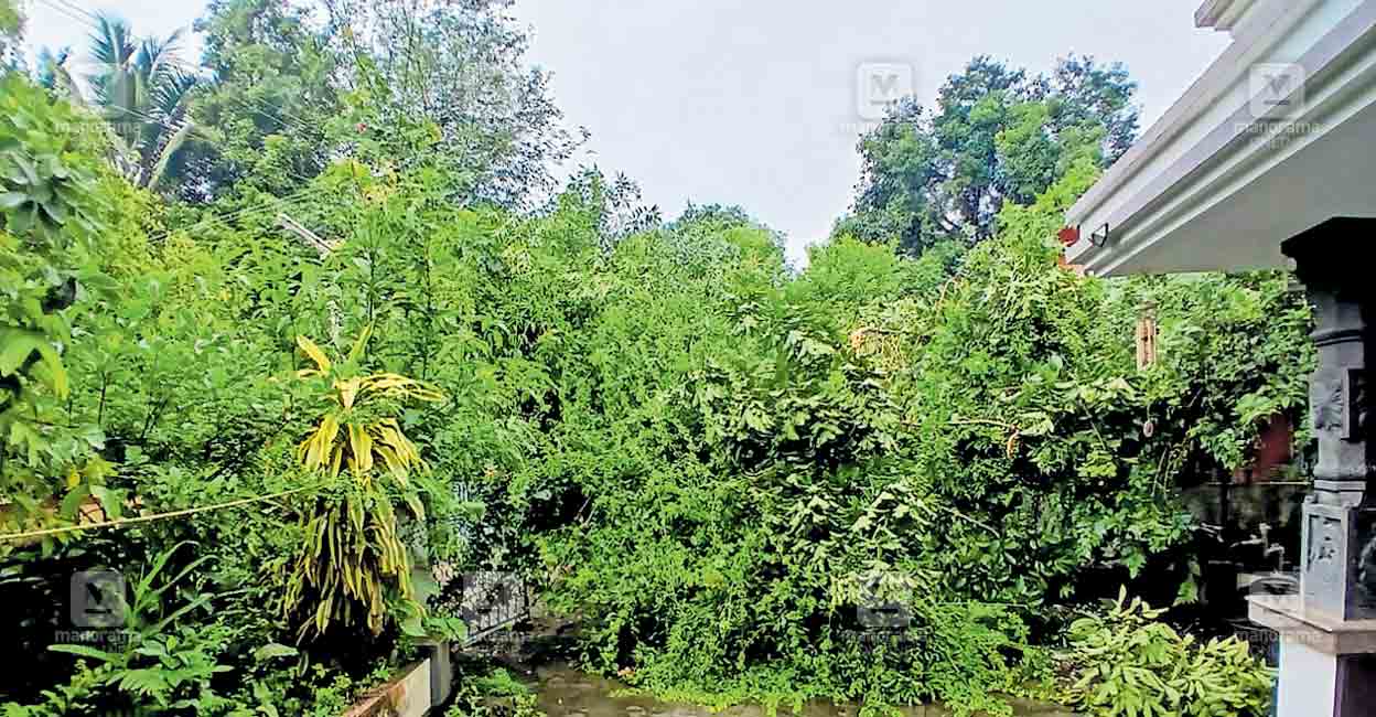 കനത്ത മഴയിൽ മുങ്ങി റോഡും നാടും | Aluva floods | Aluva waterlogging ...